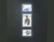 LED Window Displays - TV Light Boxes for Yacht and Estate Agency ...