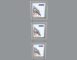 LED Window Displays - TV Light Boxes for Yacht and Estate Agency ...